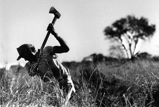 LOS HACHEROS DE LA SIERRA DE SEGURA – Real Asociación Española de ...