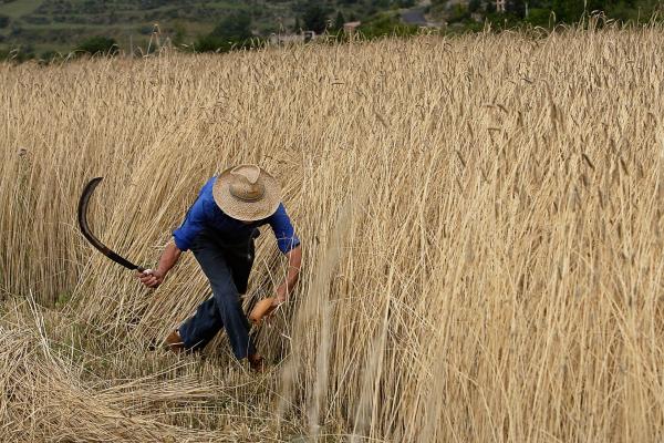 SEGAR – Real Asociación Española de Cronistas Oficiales
