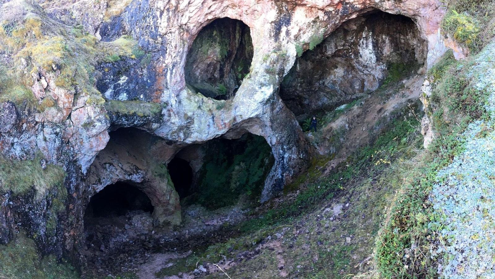 EL MEOLLO EN EL ARAMO ( ASTURIAS) – Real Asociación Española de ...