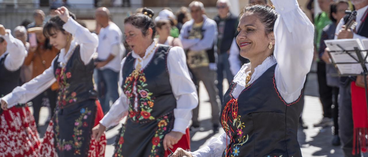 EL JATO QUE NOS UNE – Real Asociación Española de Cronistas Oficiales