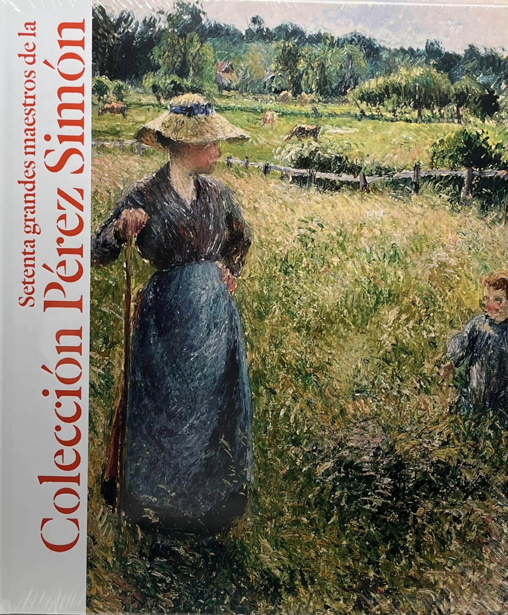 COLECCIÓN PÉREZ SIMÓN – Real Asociación Española de Cronistas Oficiales